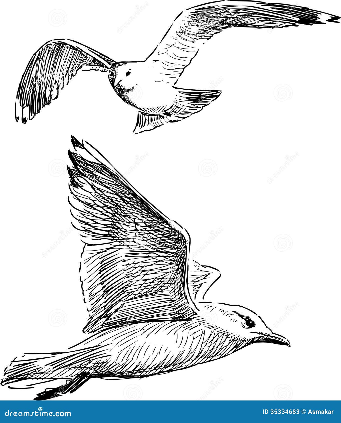 Gaviotas del vuelo ilustración del vector. Ilustración de aislado ...