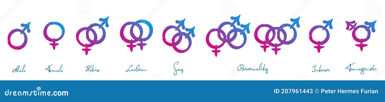 Gay Lesbian Hetero Bisexual Intersex Transgender Lgbt Symbols Stock