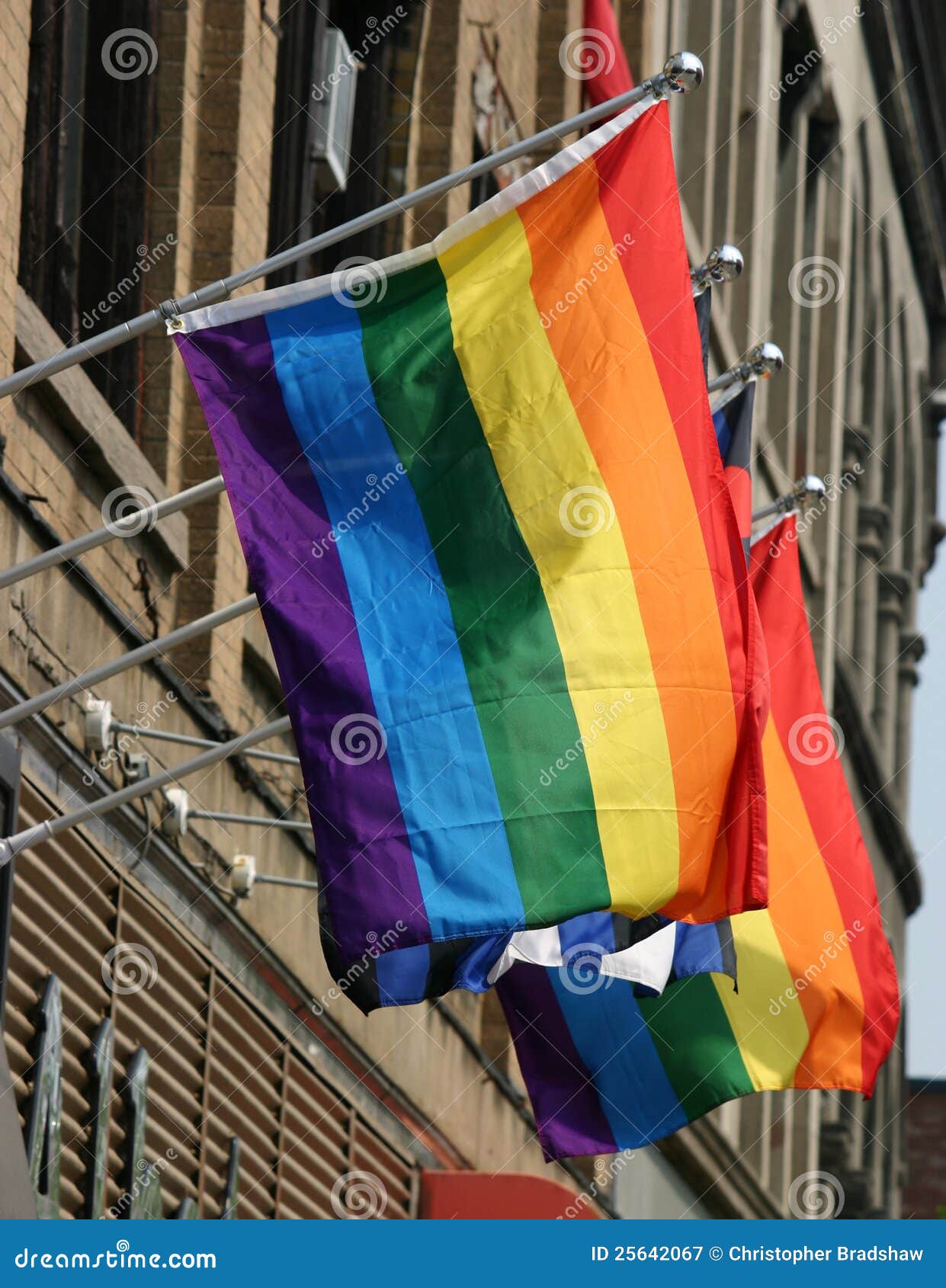Gay Pride Flags Royalty-Free Stock Photography | CartoonDealer.com ...