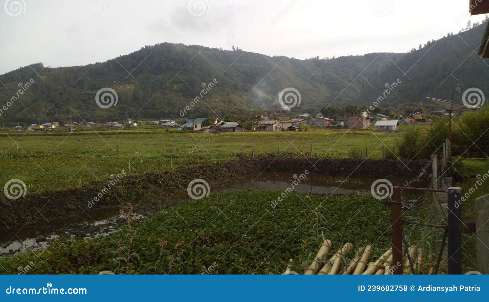 Gayo Village at Aceh stock photo. Image of grassland - 239602758