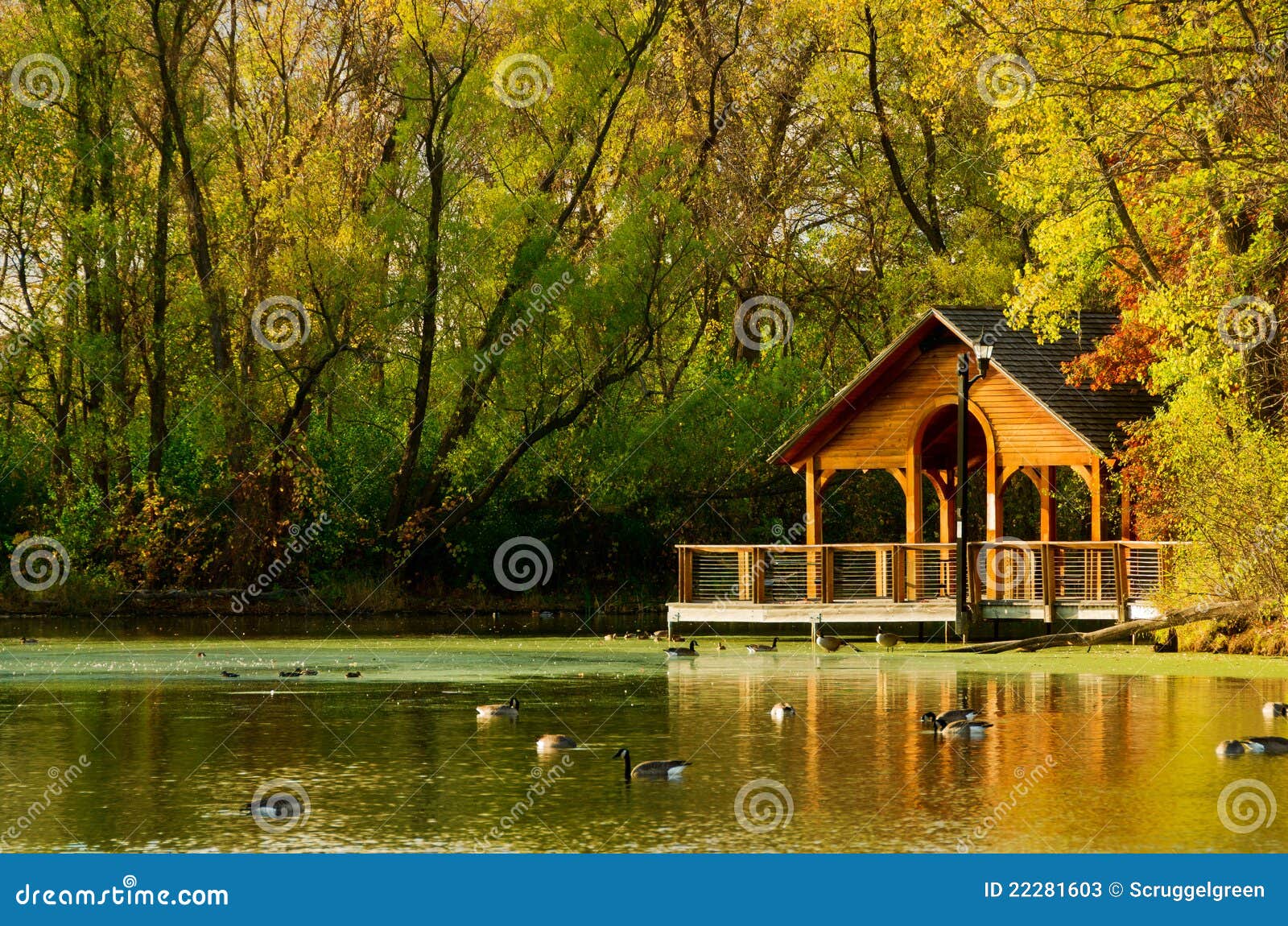Gazebo stock image. Image of pond, lake, forest, scenic - 22281603