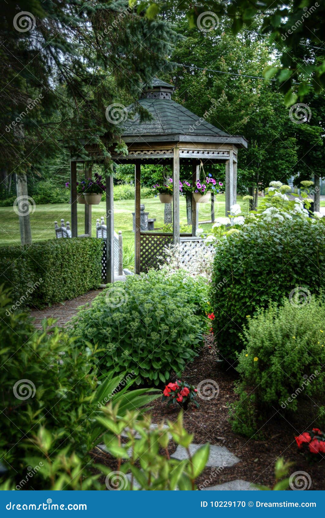 Gazebo amongst the Trees stock photo. Image of quiet - 10229170
