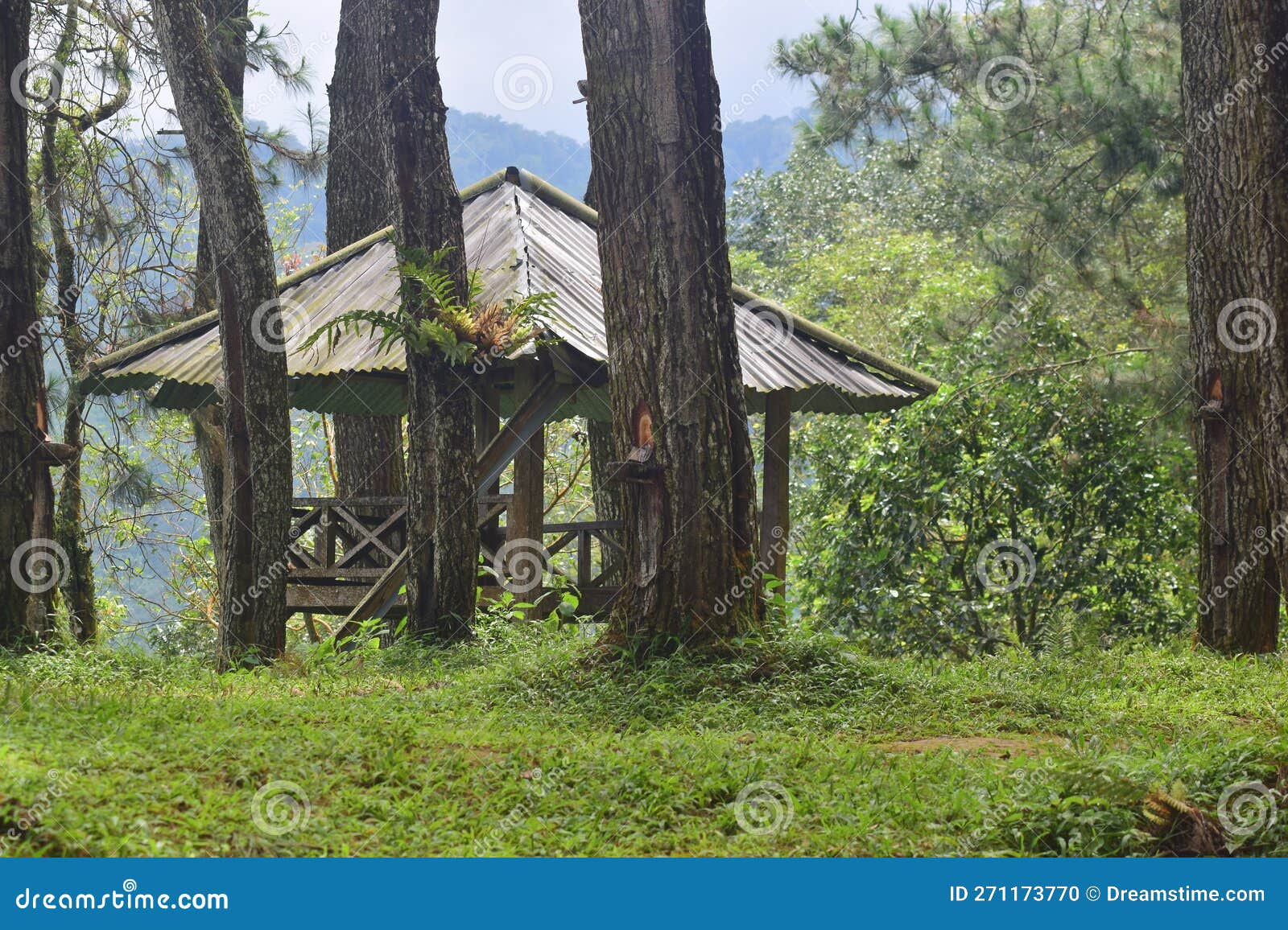 Gazebo Architecture in Forest Stock Photo - Image of farm, flower ...