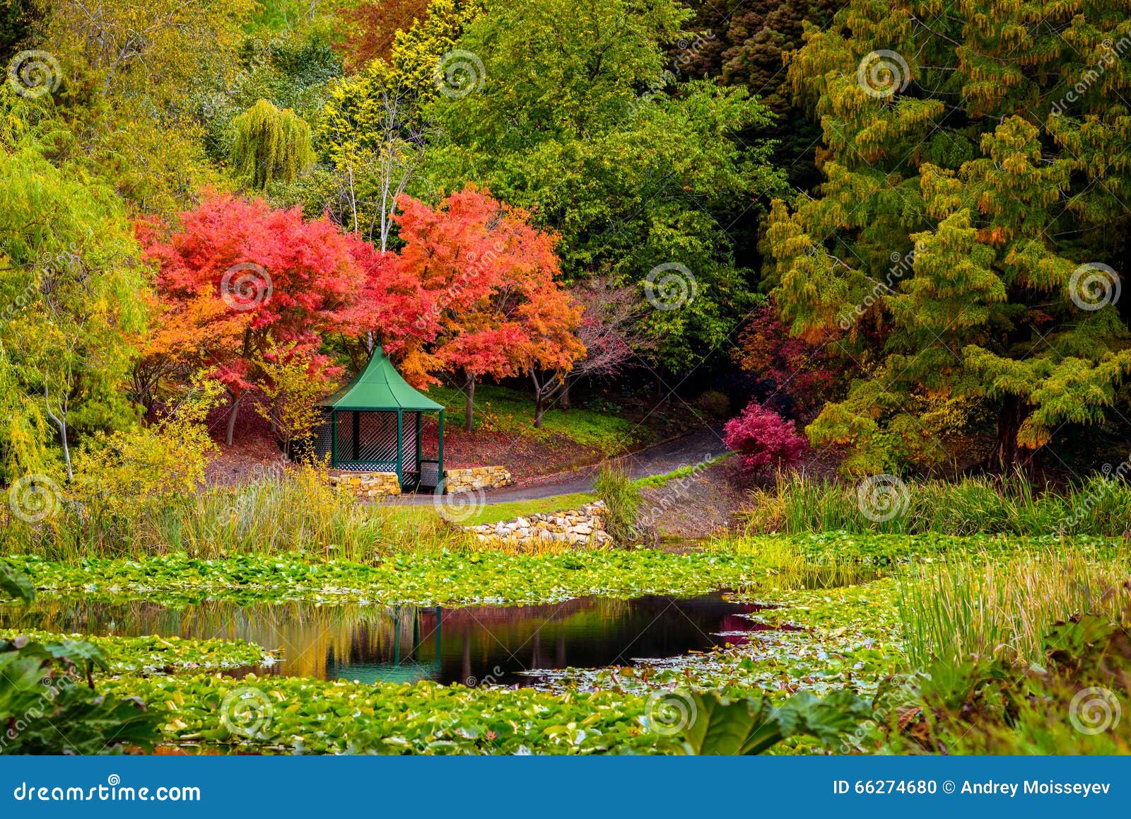 Gazebo in the Autumn Park by the Pond Stock Photo - Image of overcast ...
