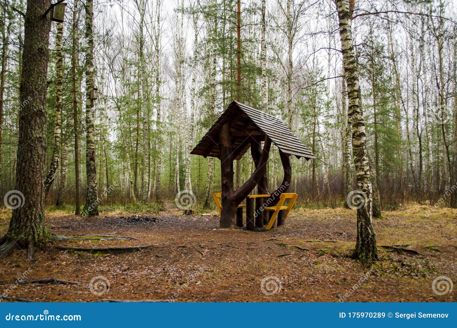 Gazebo in the forest stock image. Image of gazebo, beautiful - 175970289