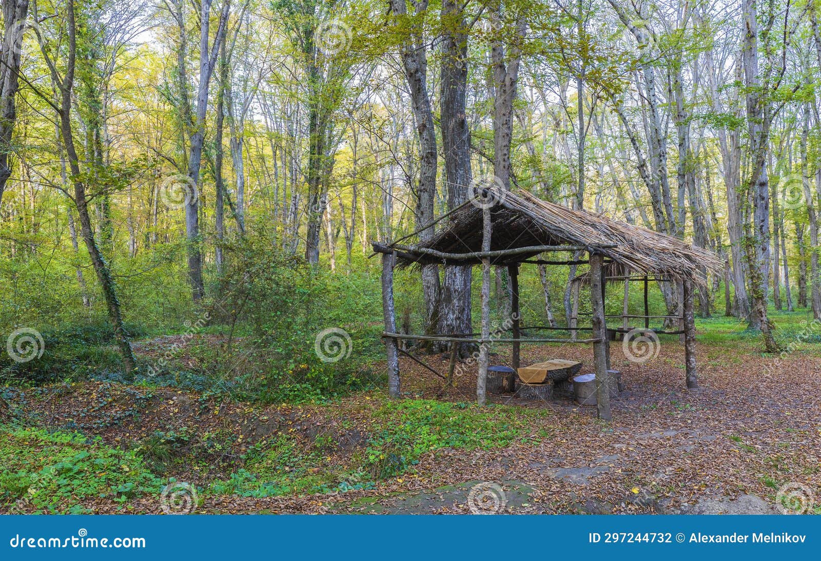 Gazebo and Table, Chairs from Tree Trunks in the Forest Stock Photo ...