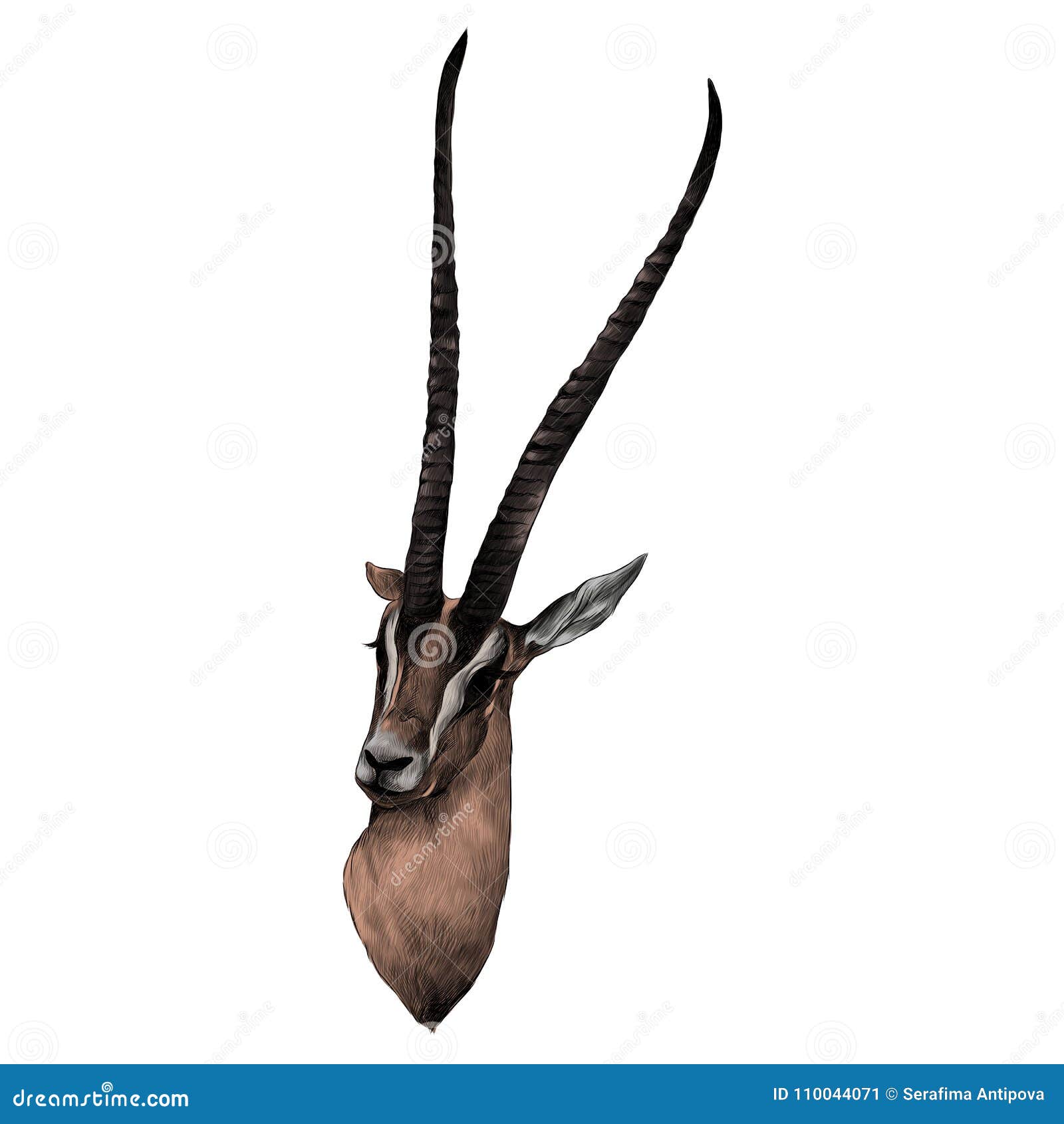 Gazelle Sketch Vector Graphics Stock Vector - Illustration of drawn ...