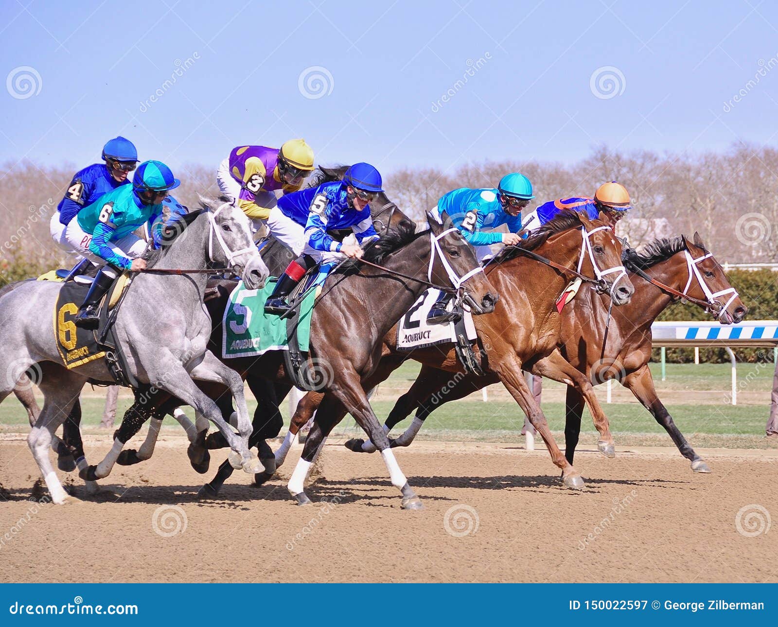 Fantastic Finishes at Historic Aqueduct Racetrack Editorial Photography ...
