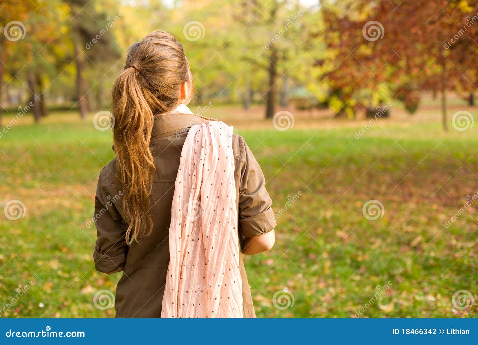 Gazing at the sky. stock photo. Image of woman, trees - 18466342