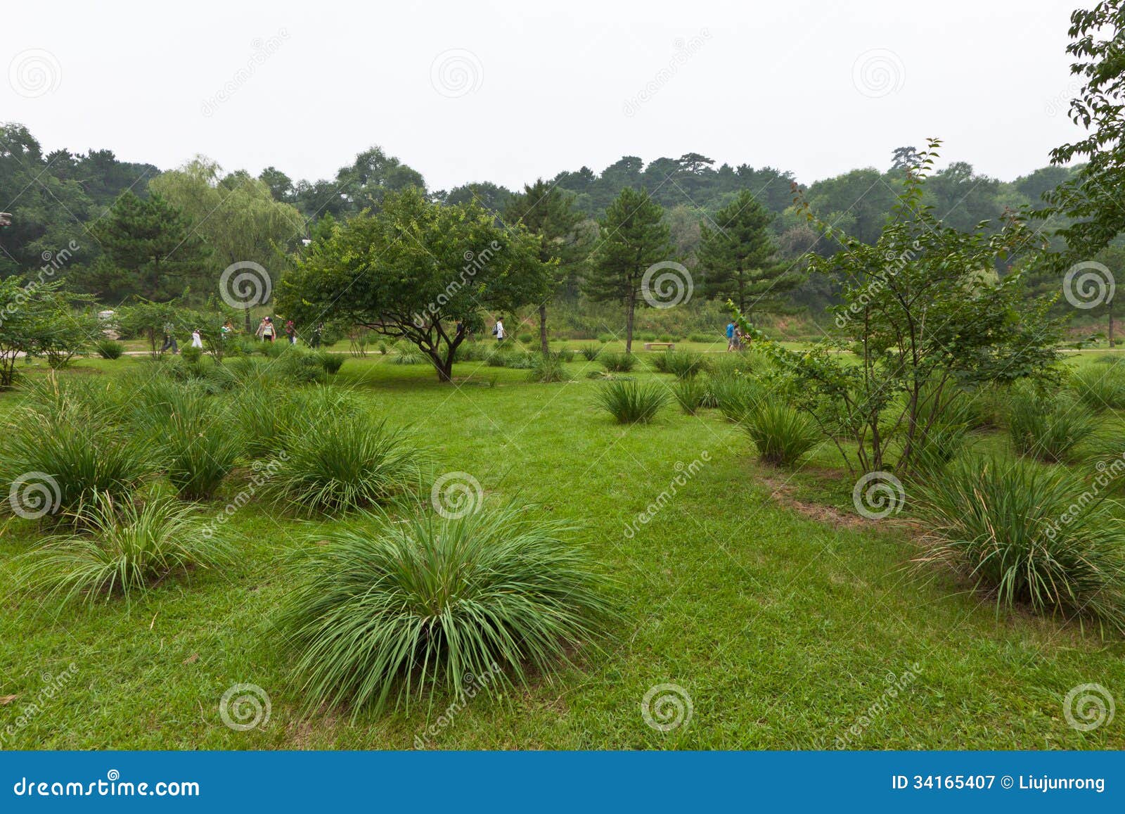 Gazon En Bomen in Een Park, Noord-China Stock Afbeelding - Image of ...