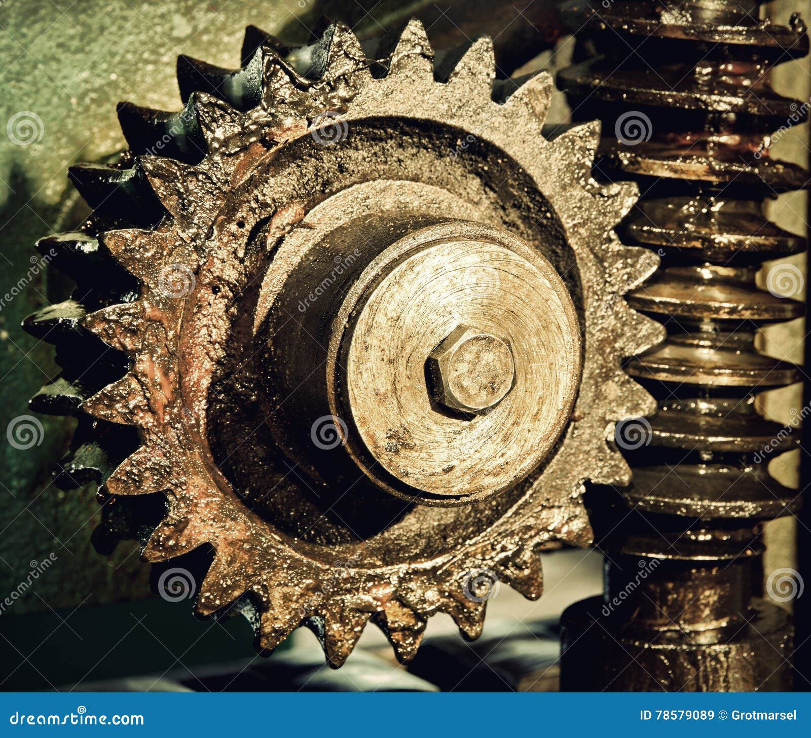 Gear Wheel, Cogs and of Machine Taken Close Up. Stock Image - Image of ...