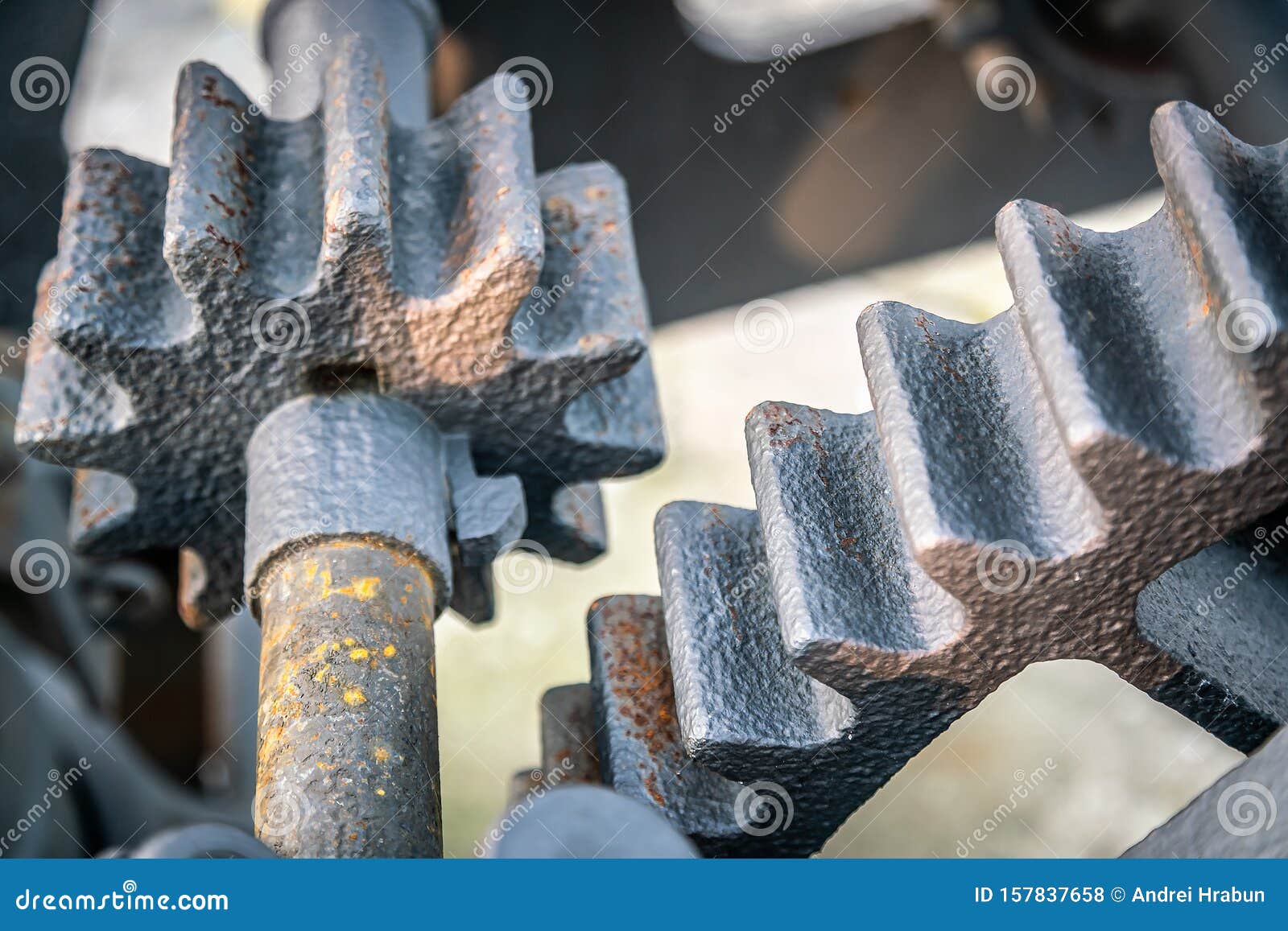 A Gear Wheel Or Pinion Is A Basic Part Of A Gear Train In The Form Of A ...