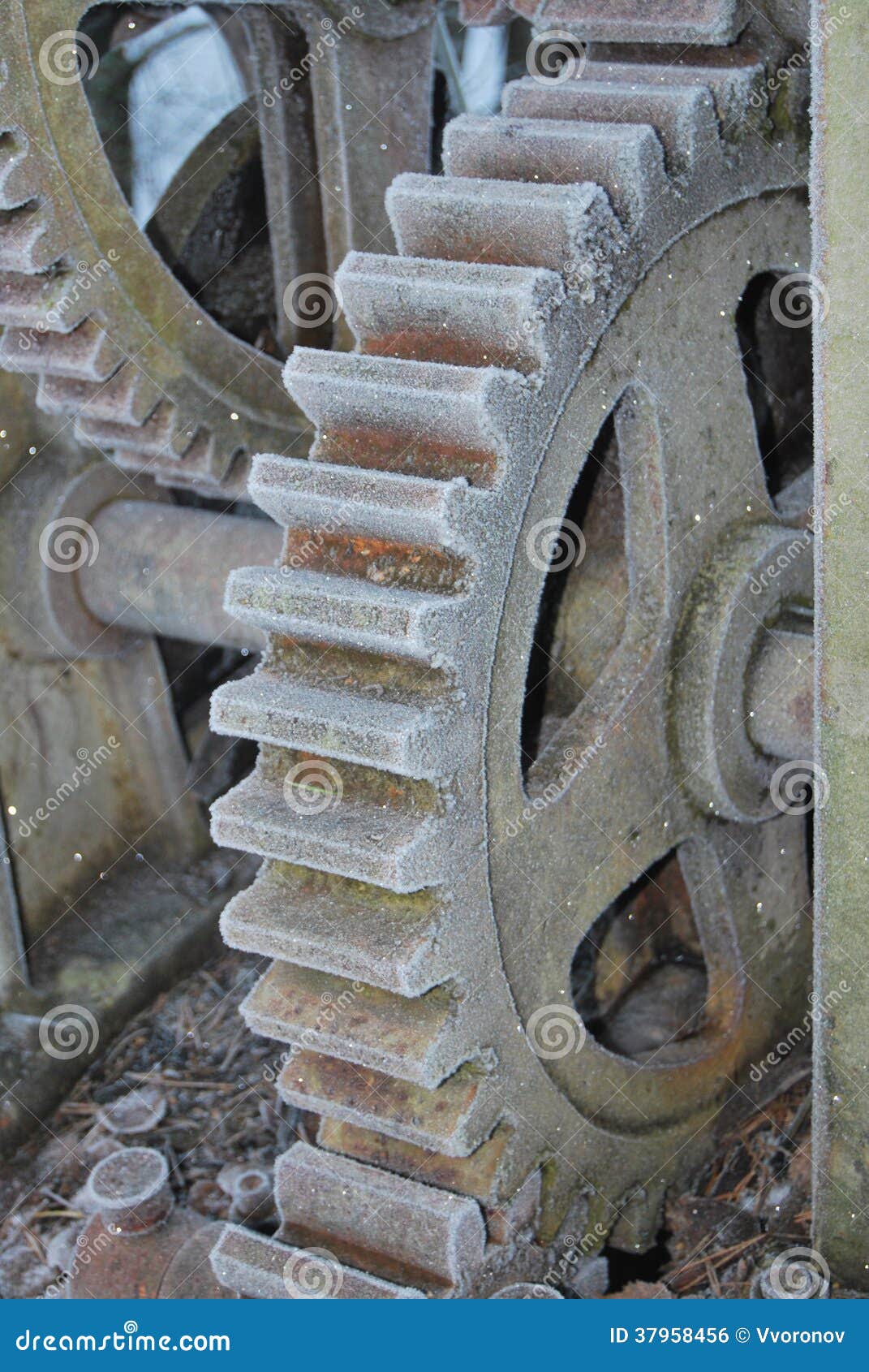 Gear Wheels stock photo. Image of hoar, lift, detail - 37958456