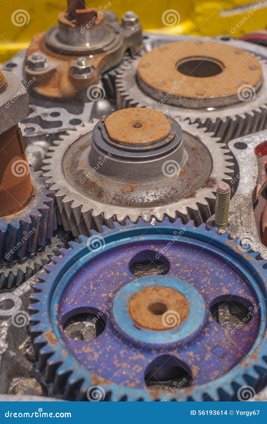 Gear Wheels stock photo. Image of industrial, machinery - 56193614