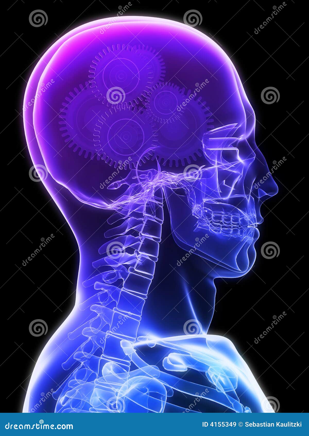Gears in brain stock illustration. Illustration of radiogram - 4155349