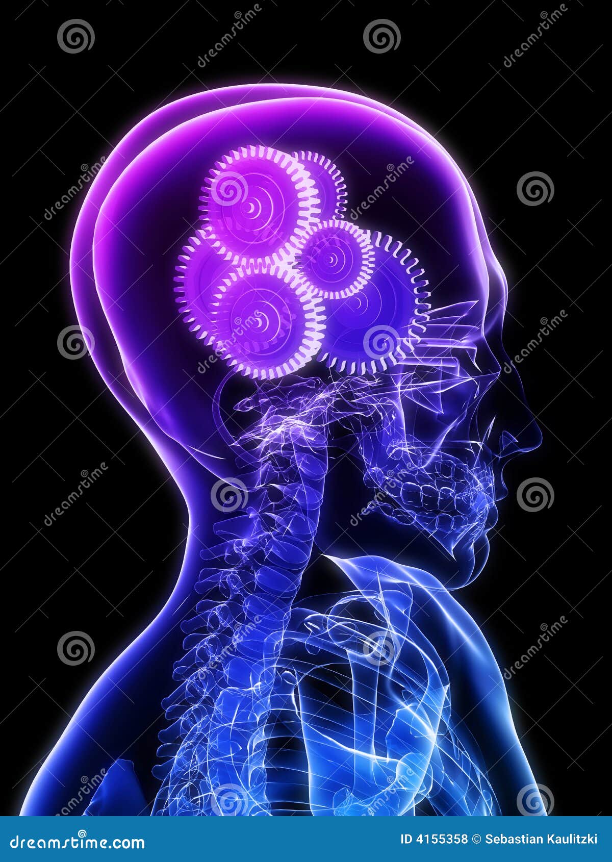 Gears in brain stock illustration. Illustration of contemplation - 4155358