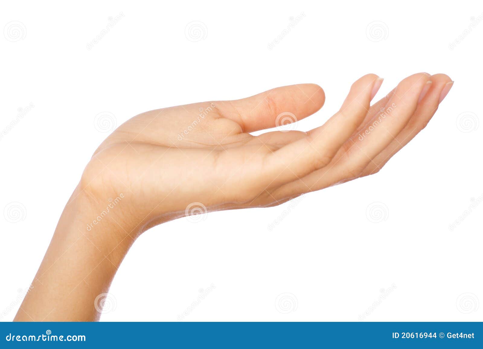 Gebaar Van Womans Open Hand Stock Foto - Image of kaukasisch, volwassen ...