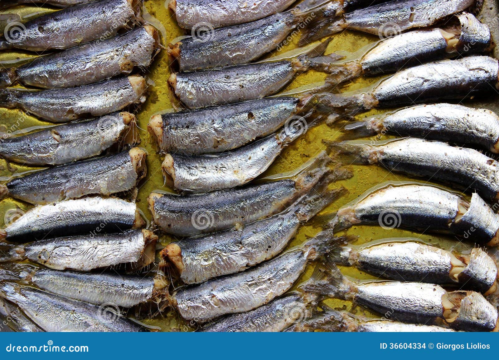 Gebackene Sardinen stockfoto. Bild von schmieröl, ofen - 36604334