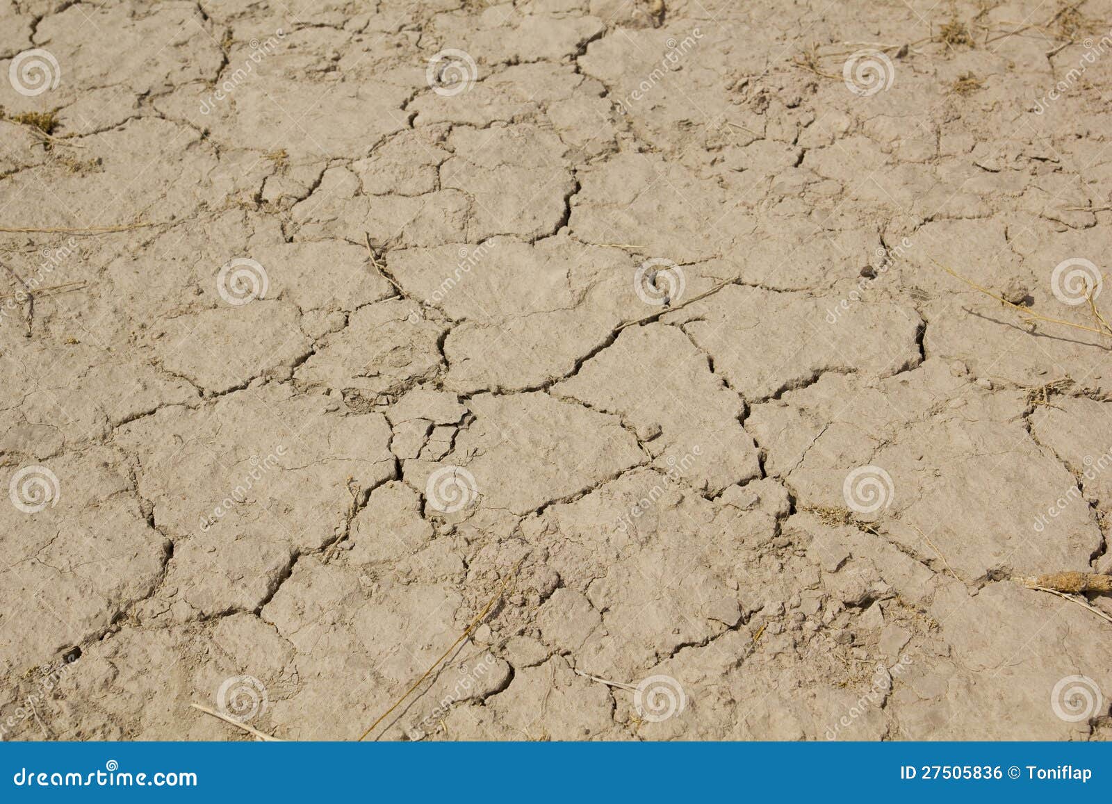 Gebarsten kleigrond stock foto. Image of stof, erosie - 27505836