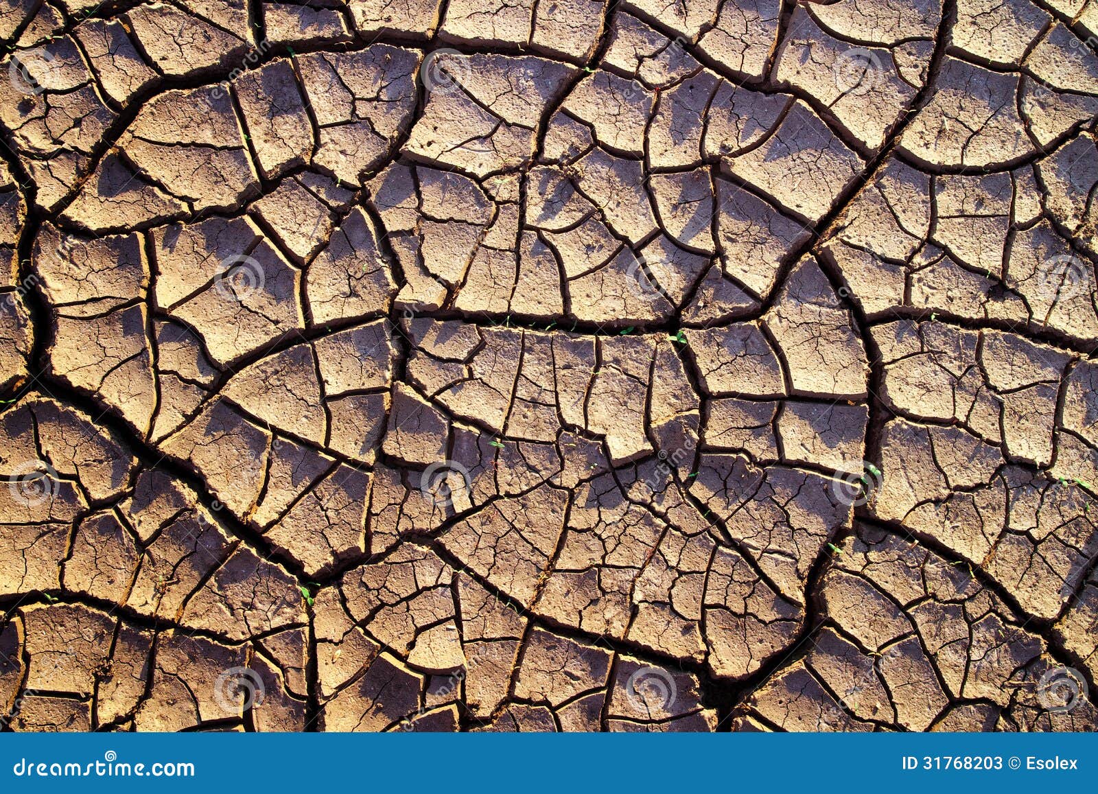 Gebarsten kleigrond stock afbeelding. Image of klimaat - 31768203