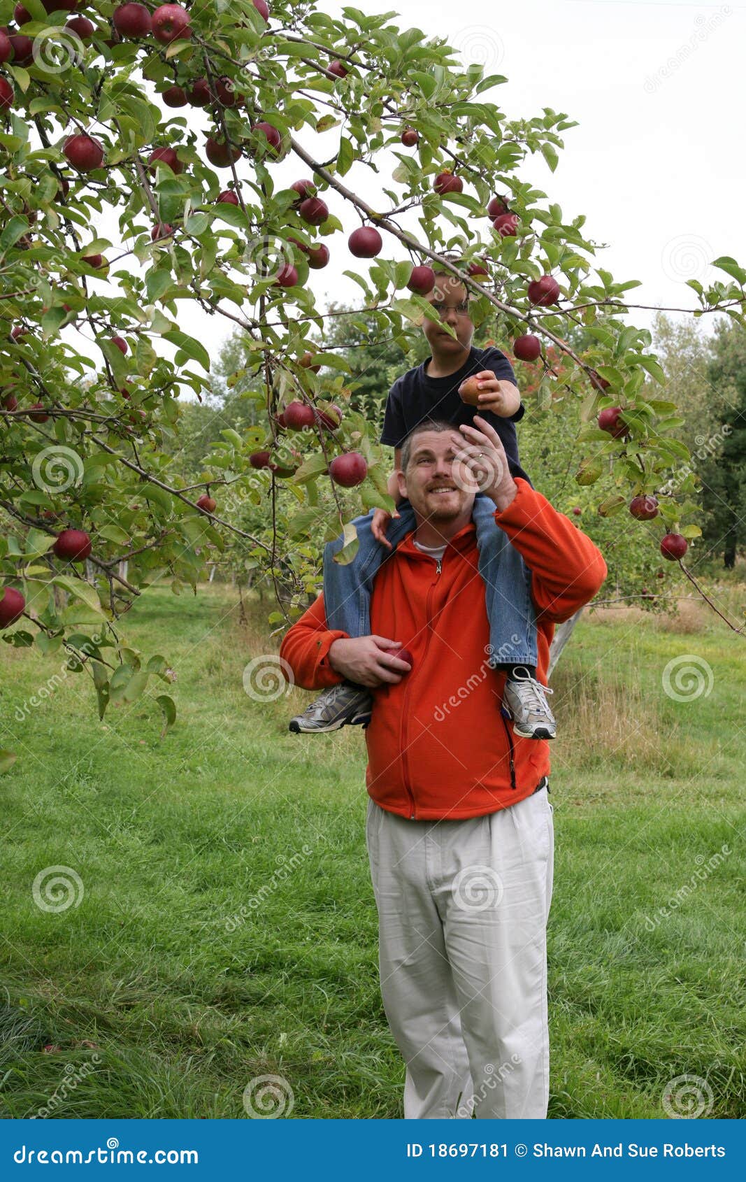 Geben dem Vati des Apfels stockbild. Bild von schultern - 18697181