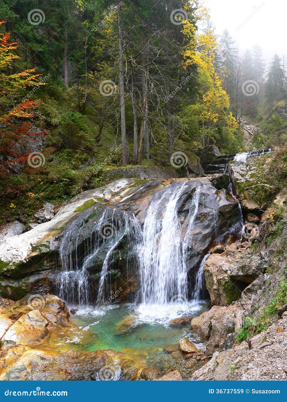 Gebirgsbach Mit Kaskaden, Deutsche Landschaft Stockbild - Bild von ...