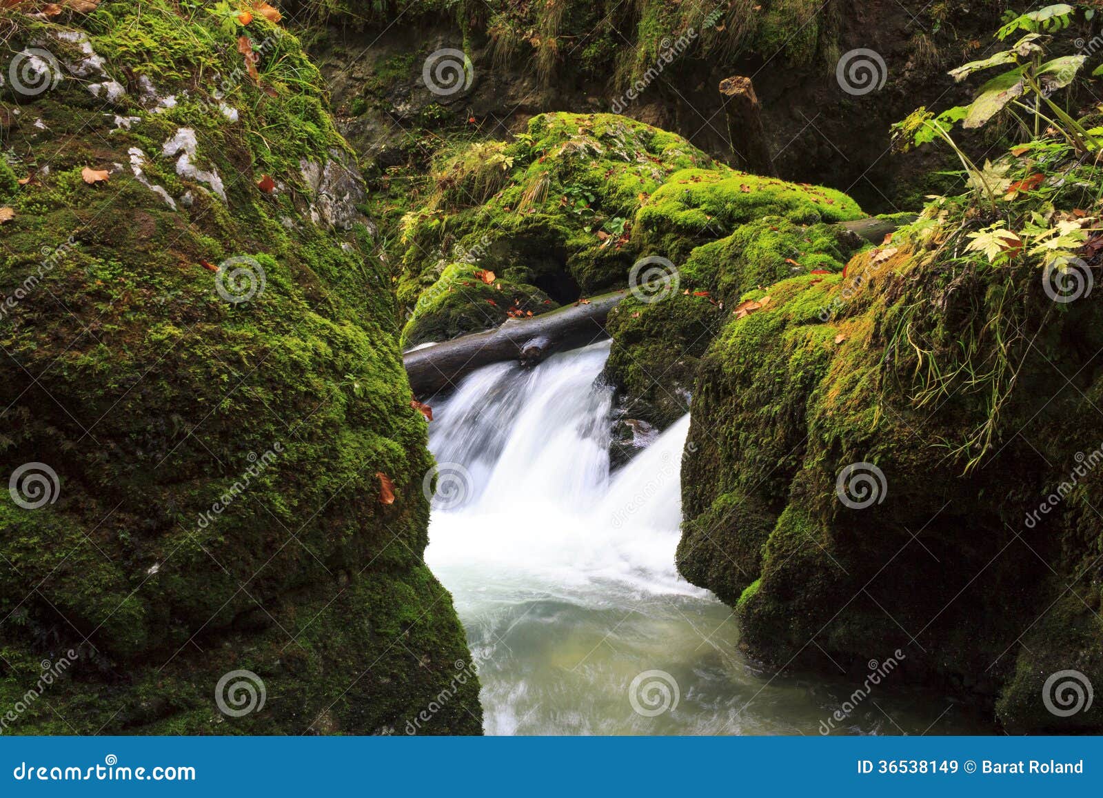 Gebirgswasserfall. Schnelles Flusswasser Stockbild - Bild von karpaten ...
