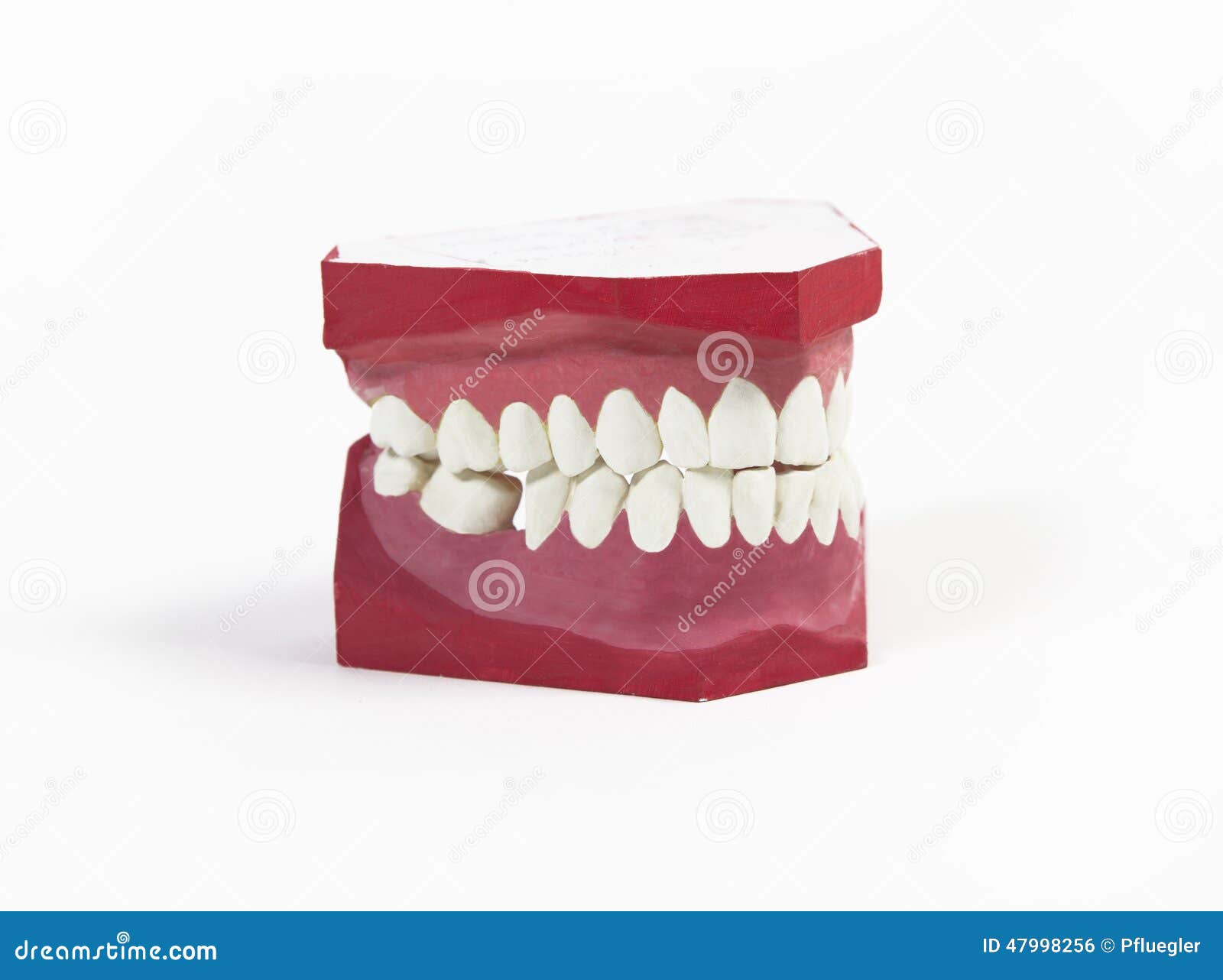 Gebiss stockfoto. Bild von menschlich, zahnheilkunde - 47998256