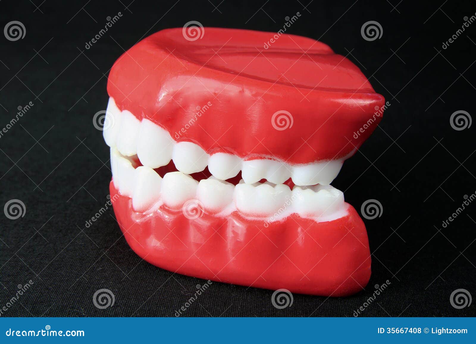 Gebiss-Modell stockfoto. Bild von paar, brücke, obacht - 35667408