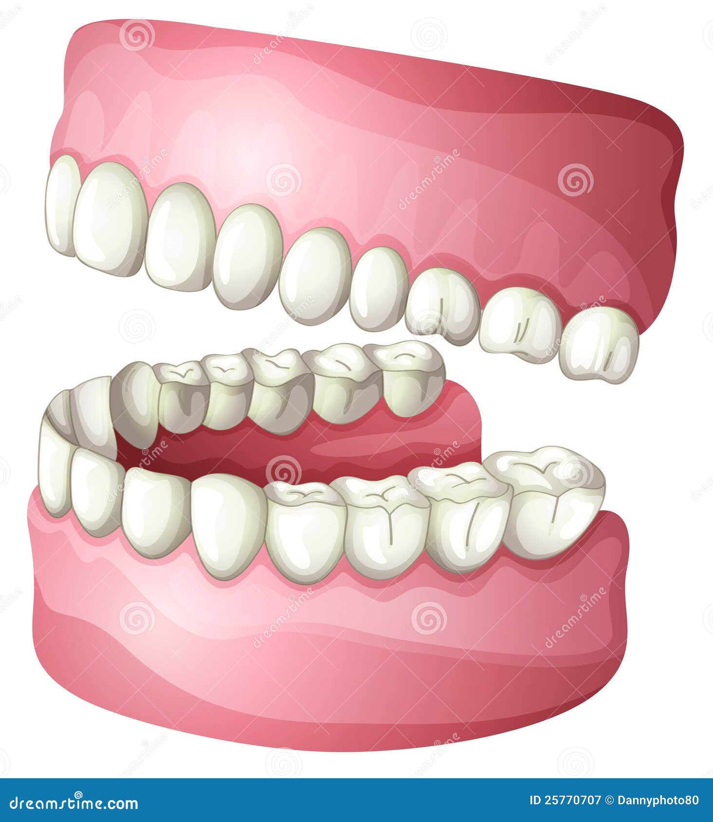 Gebit stock illustratie. Illustration of mensen, orgaan - 25770707