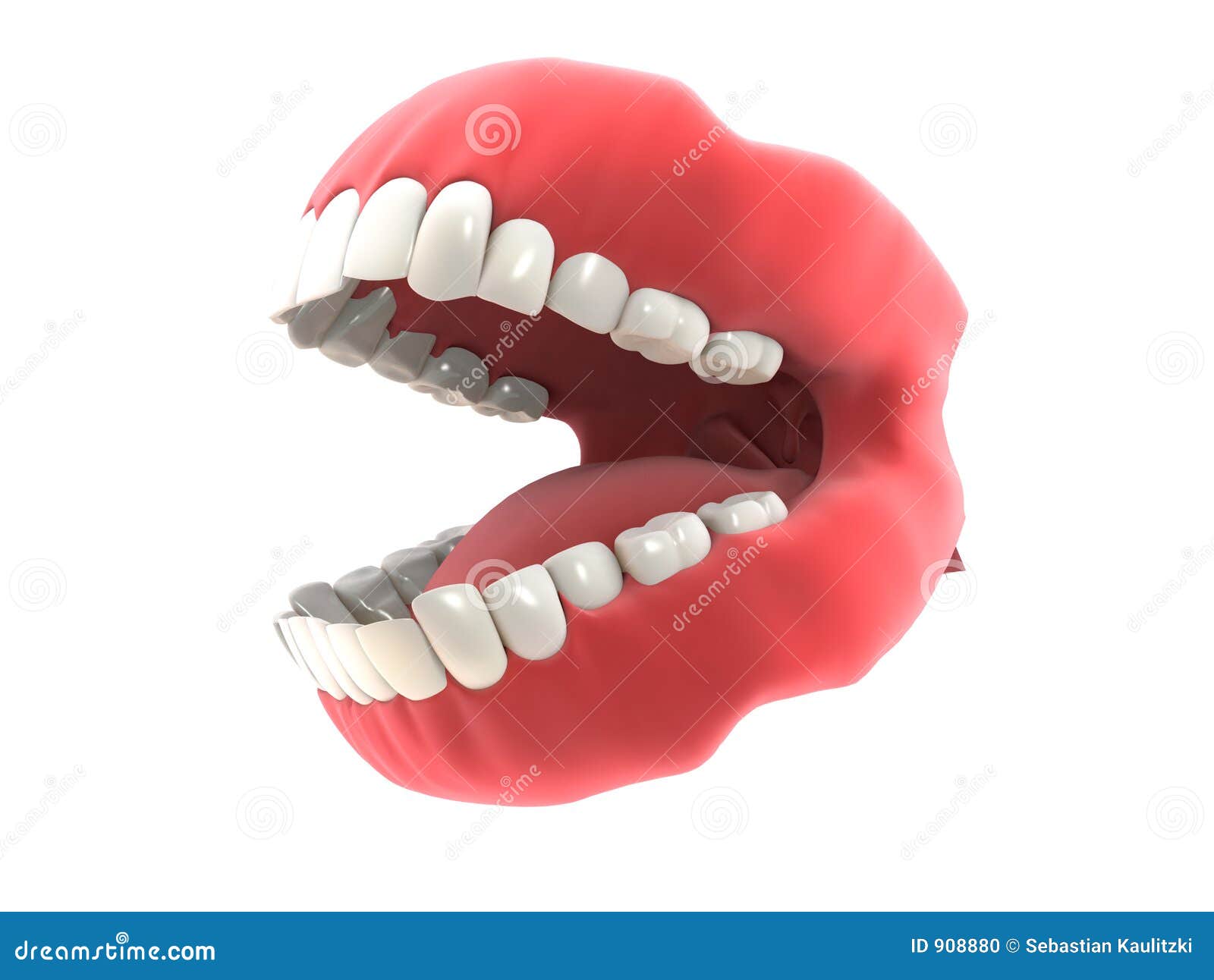 Gebit stock illustratie. Illustration of medisch, tand - 908880