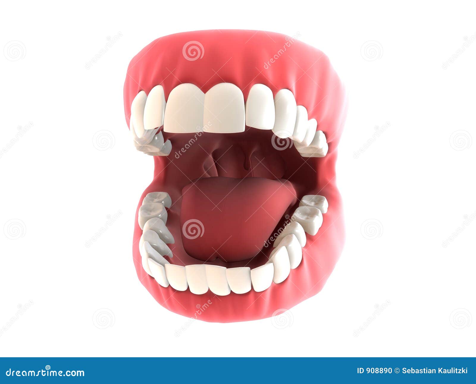 Gebit stock illustratie. Illustration of tand, gebit, mond - 908890