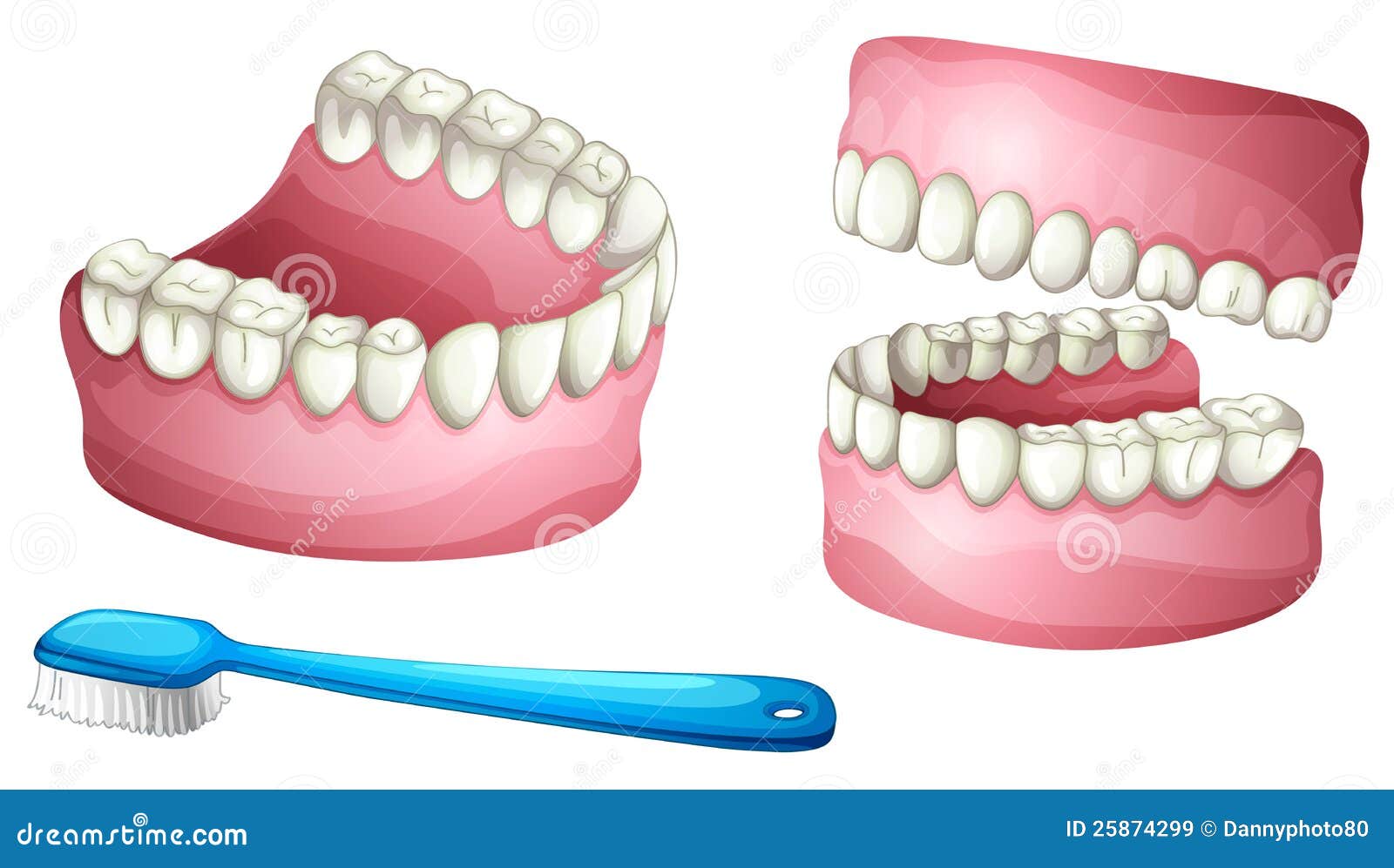 Gebit en tandenborstel vector illustratie. Afbeelding bestaande uit ...