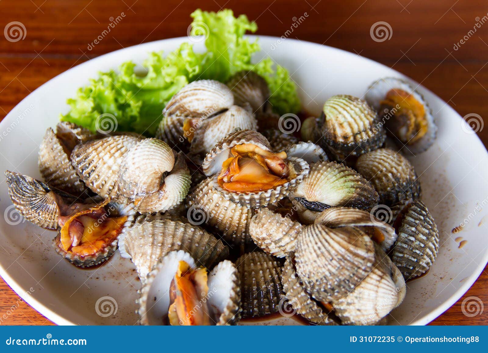 Gebleekte kokkels stock afbeelding. Image of naughty - 31072235