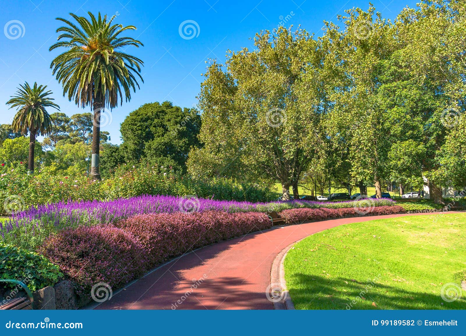 Gebogen Weg Met Haag En Groen Gazon Stock Foto - Image of mooi, manier ...