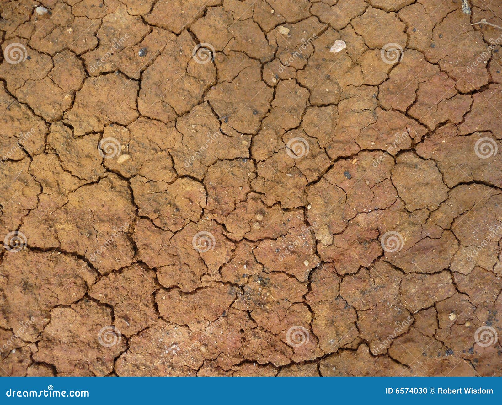 Gebrannte Erde stockfoto. Bild von geröstet, wüste, nachtisch - 6574030