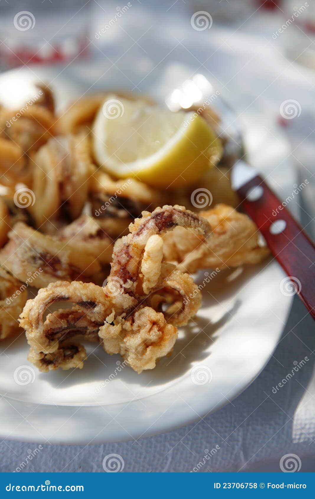 Gebratene calamaries stockfoto. Bild von tradition, gebraten - 23706758