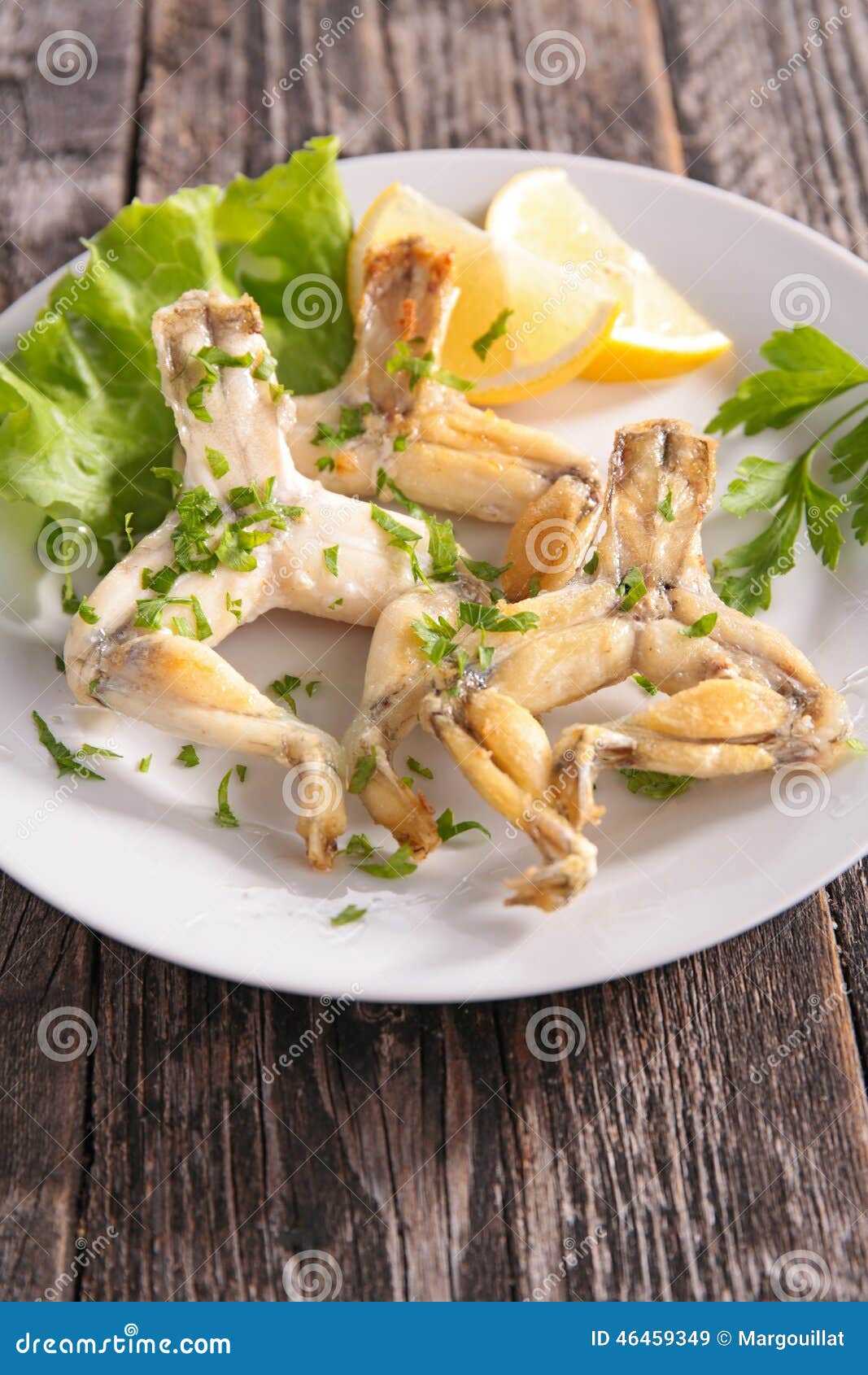 Gebratener Frosch stockbild. Bild von gastronomie, mahlzeit - 46459349