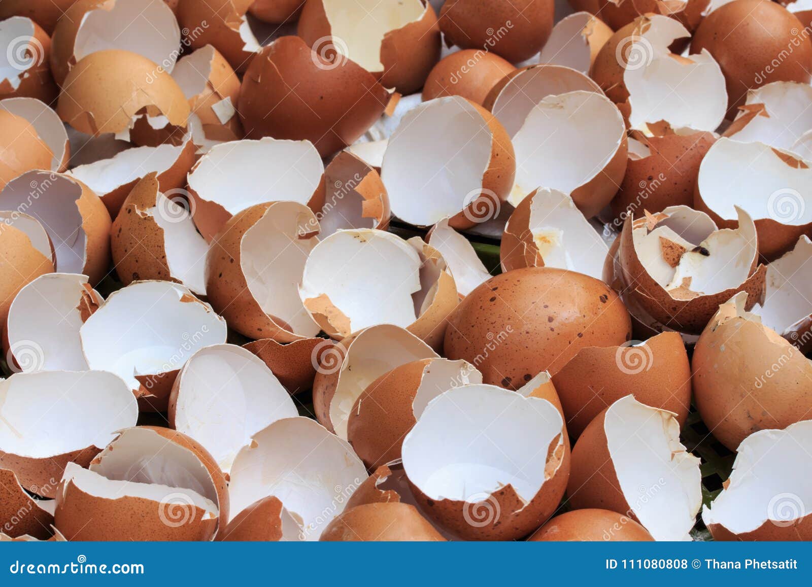 Gebrochene Eierschale Unter Dem Sonnenlicht Stockfoto - Bild von chef ...