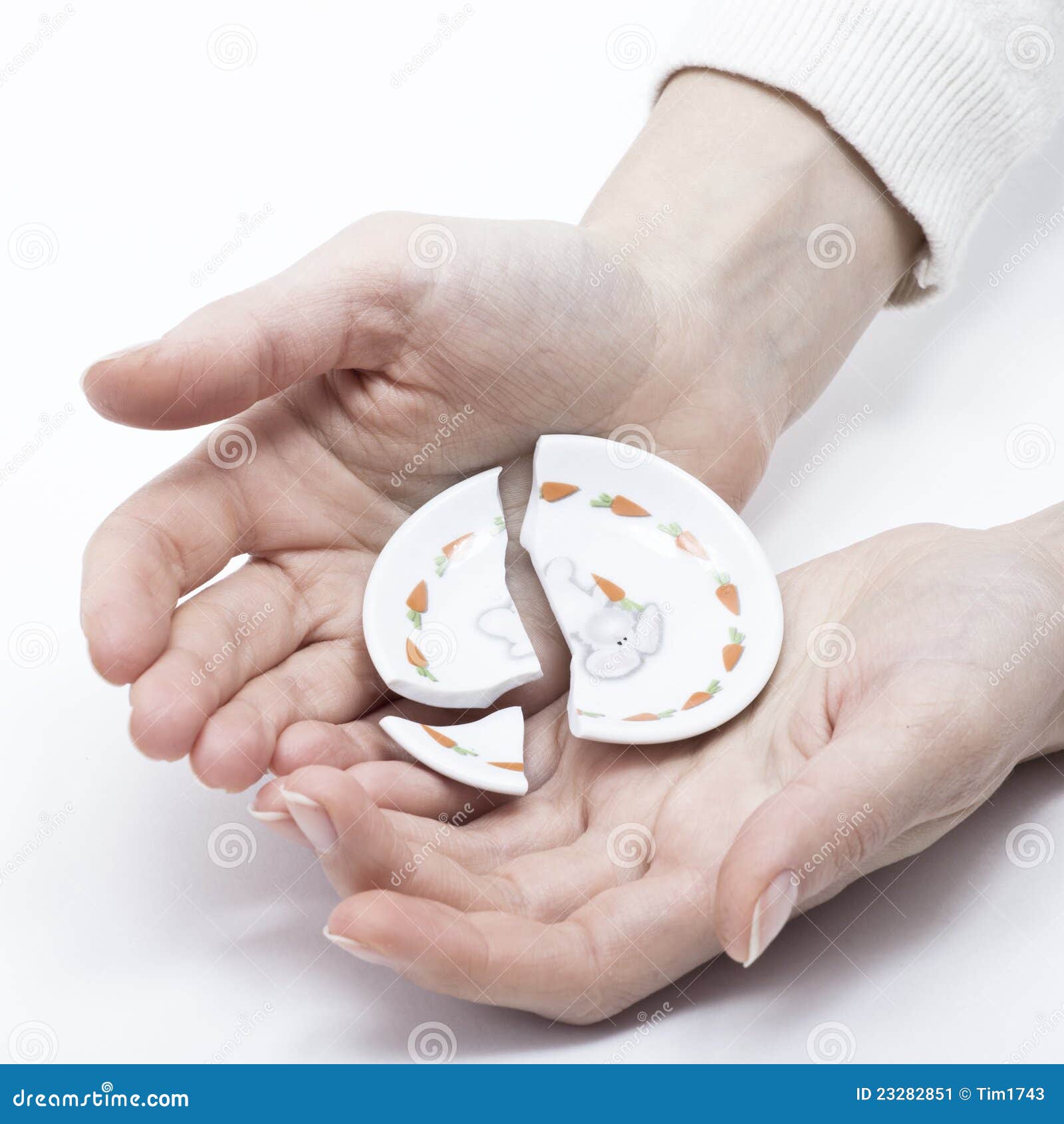 Gebroken plaat in de hand stock afbeelding. Image of enkelvoudig - 23282851