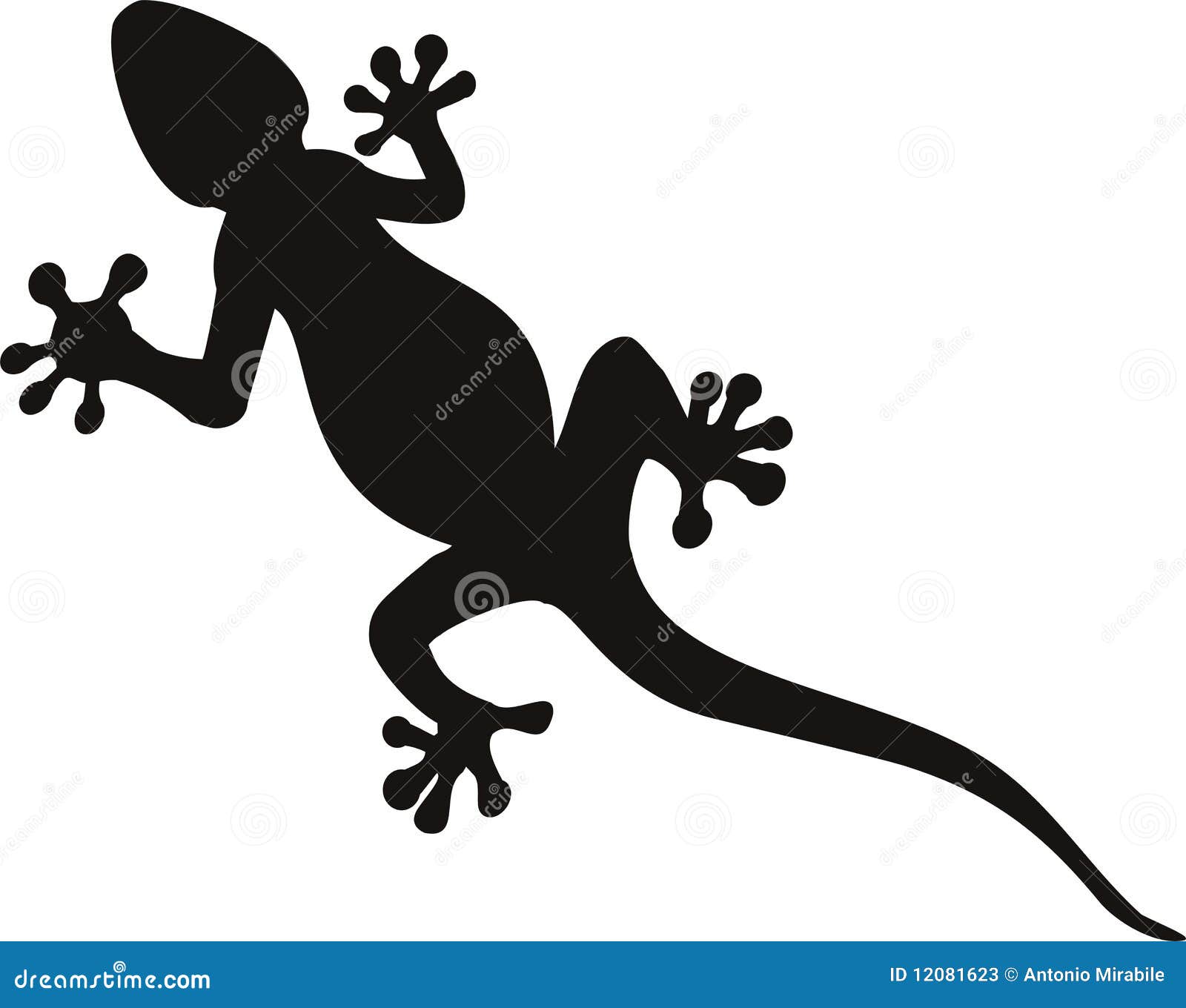 Gecko stock vector. Illustration of lizard, design, stencil - 12081623