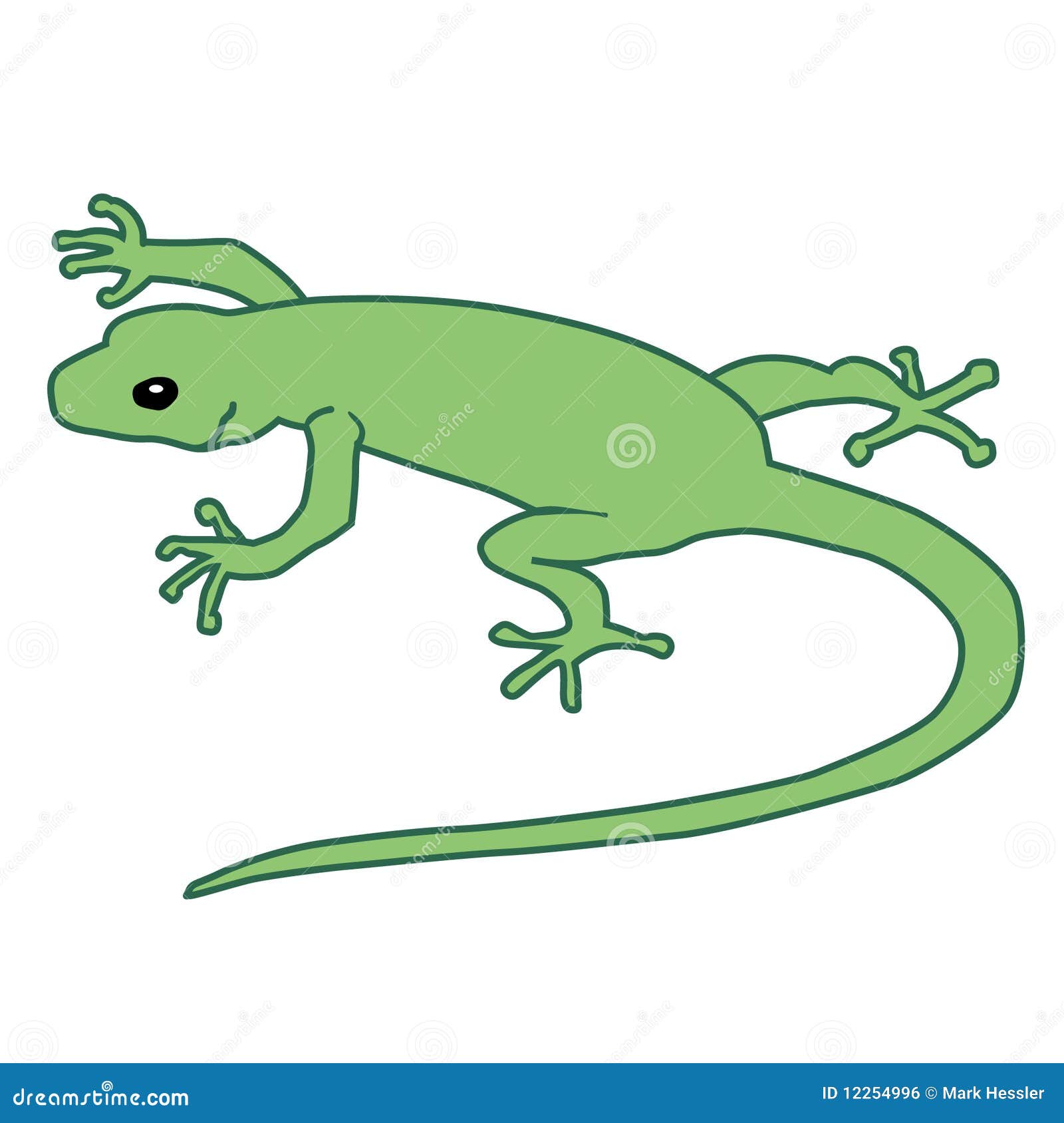 Cute Gecko Cartoon Vector Illustration | CartoonDealer.com #45673276