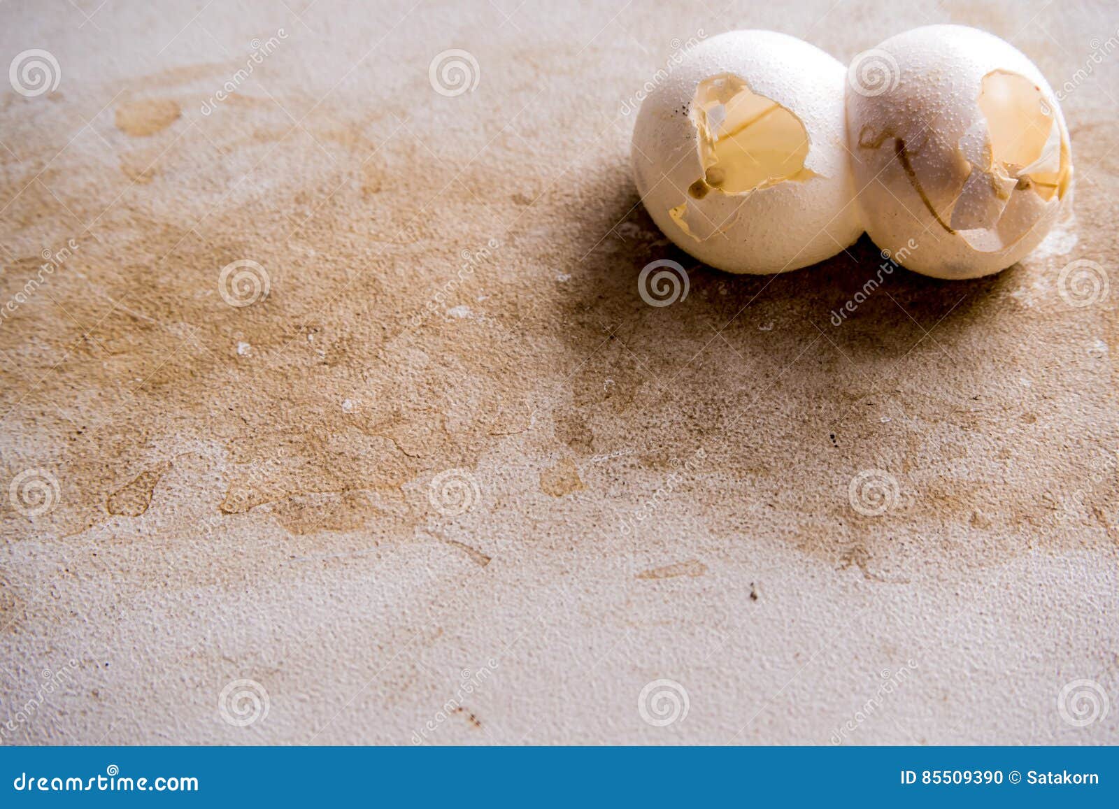 Gecko On Stick In Sossusvlei Namibia. Royalty-Free Stock Photography ...