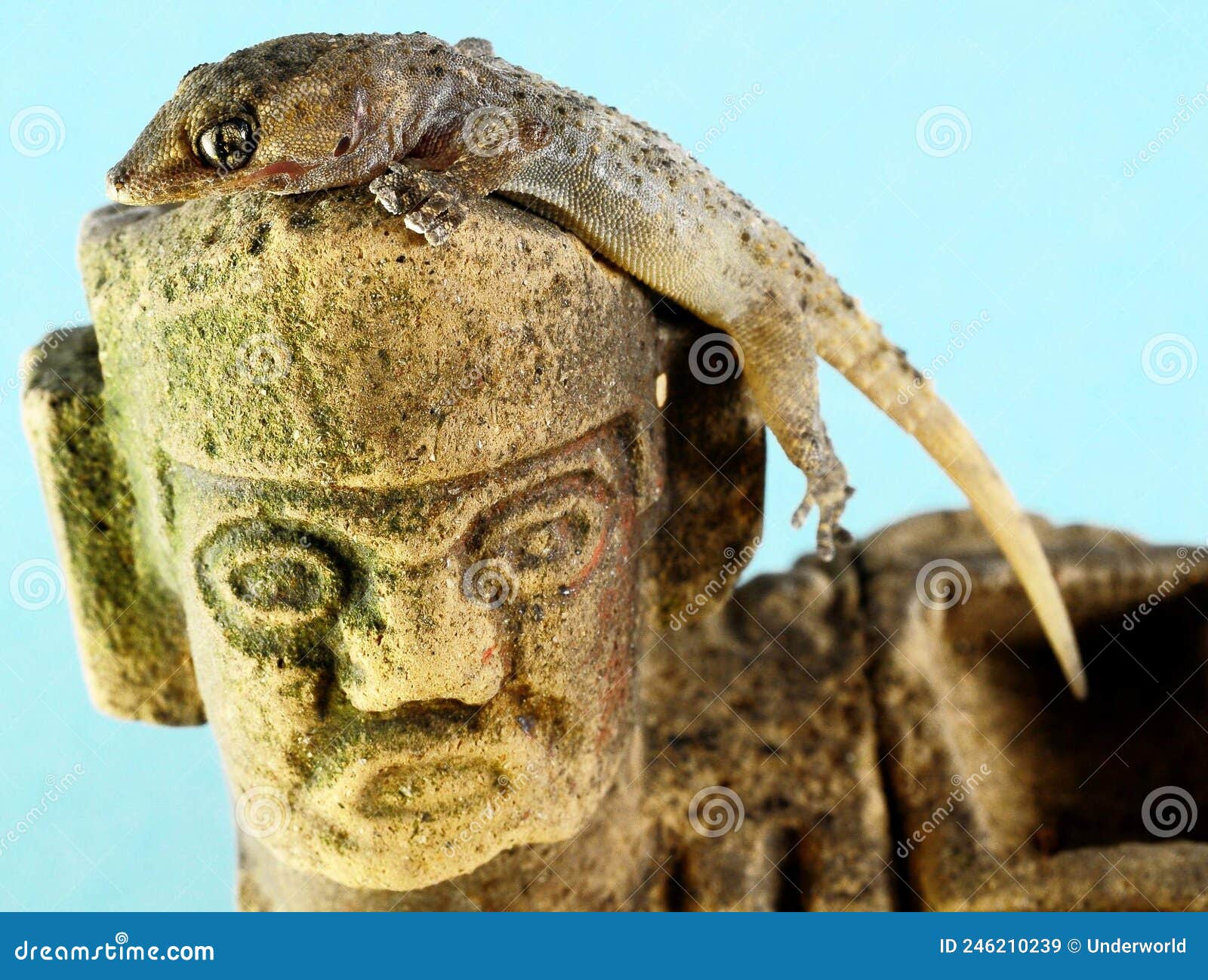 Gecko Lizard and Mayan Statue Stock Image - Image of macro, color ...