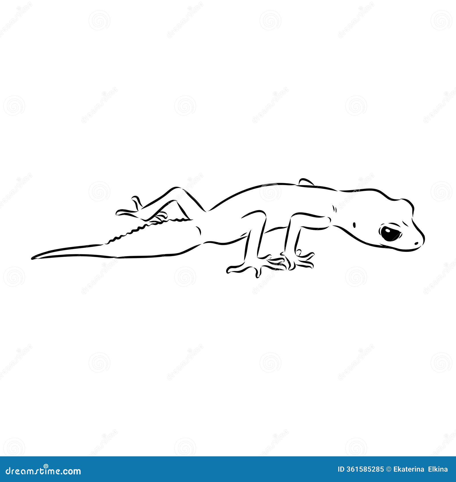 Gecko Outline Illustration on Background, Australian Stock Vector ...