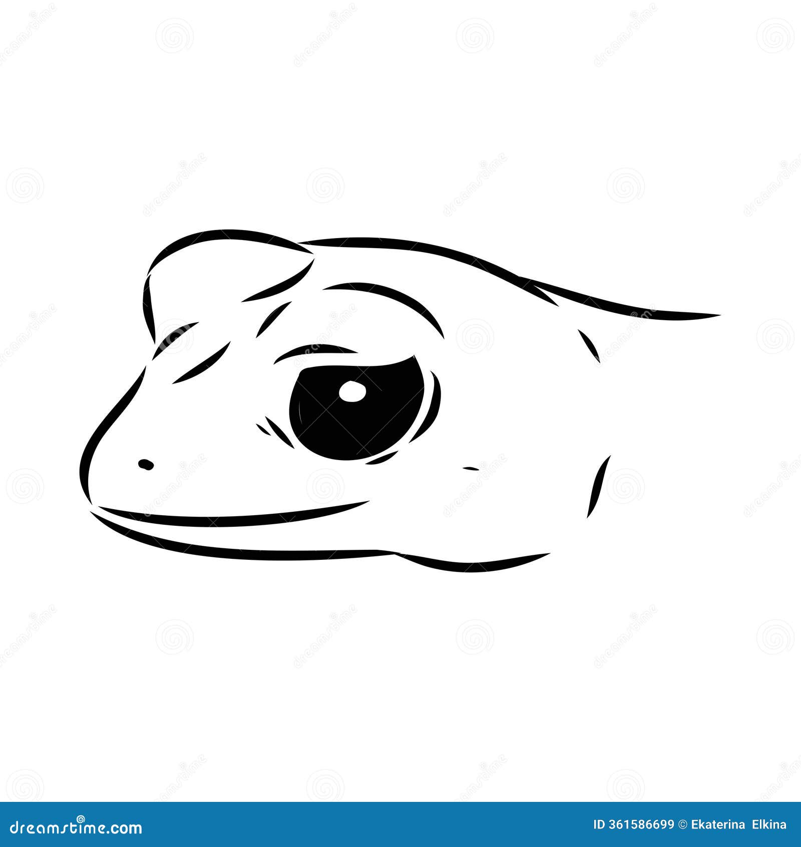 Gecko Outline Illustration on Background, Australian Stock Illustration ...