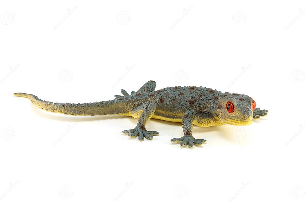 Gecko toy stock photo. Image of clamber, timber, reptile - 40075728