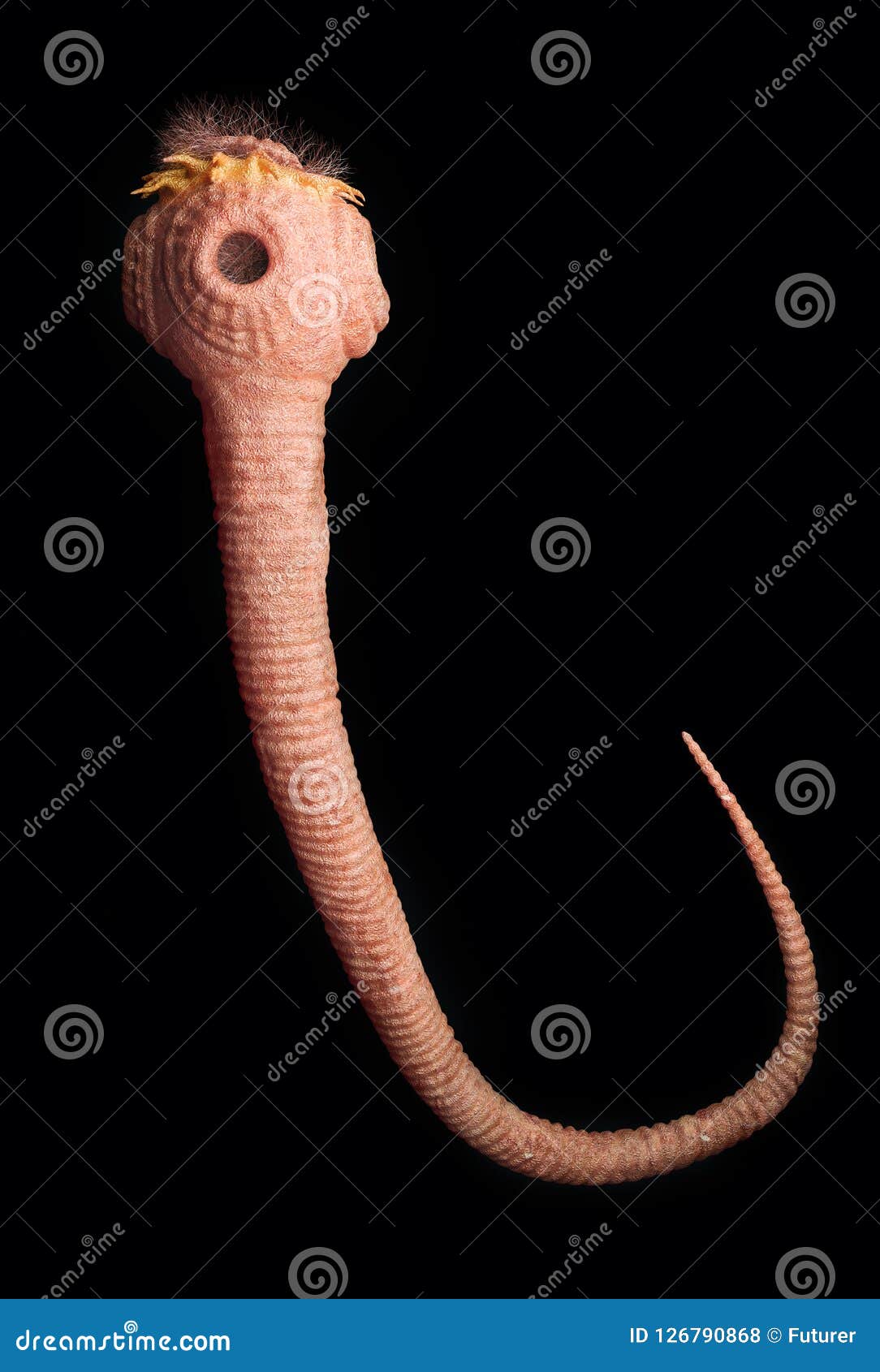 Gedetailleerde Lintworm Onder Het3d Teruggeven Stock Illustratie ...