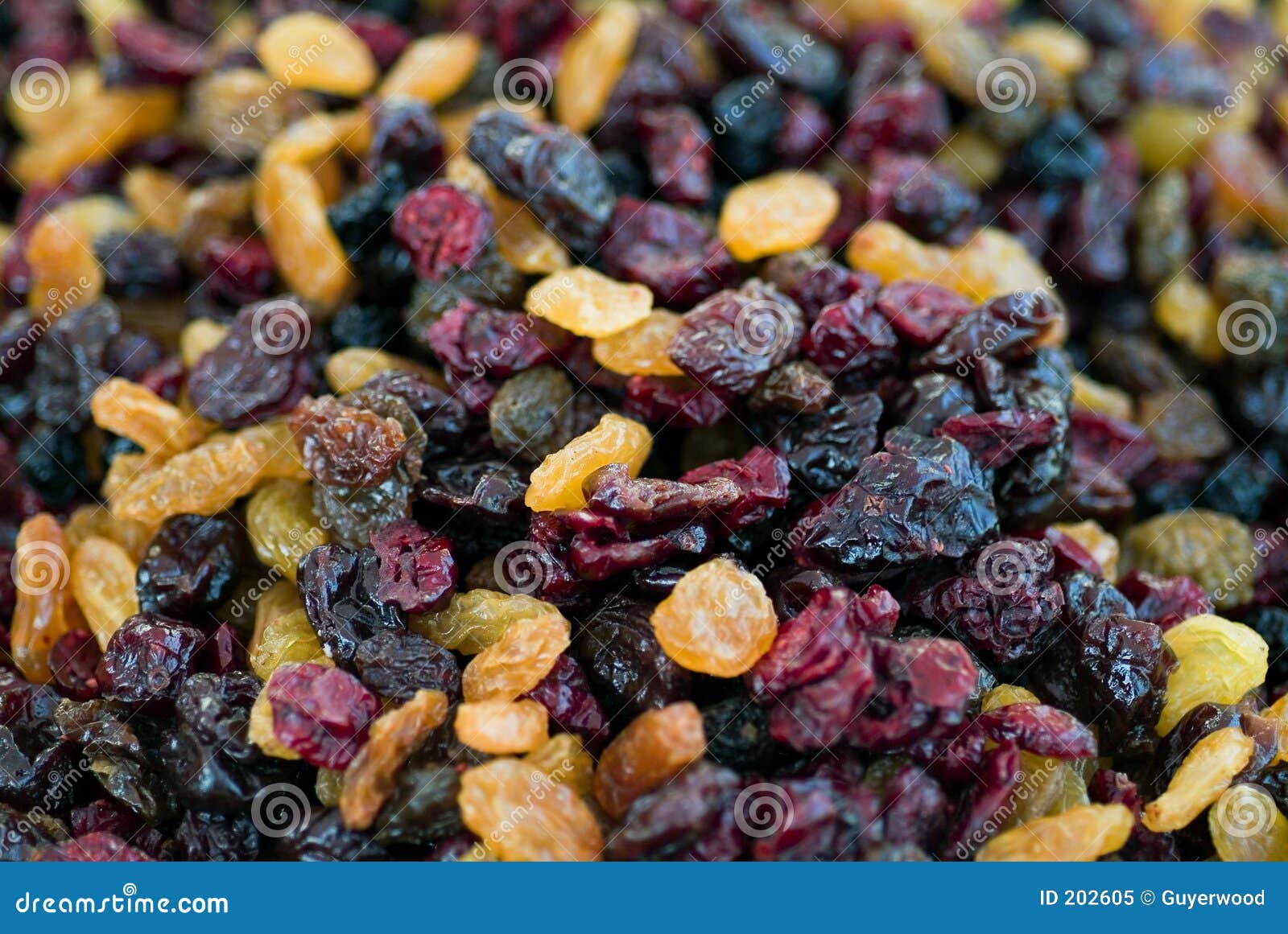 Gedroogd fruit stock afbeelding. Image of markt, druif - 202605