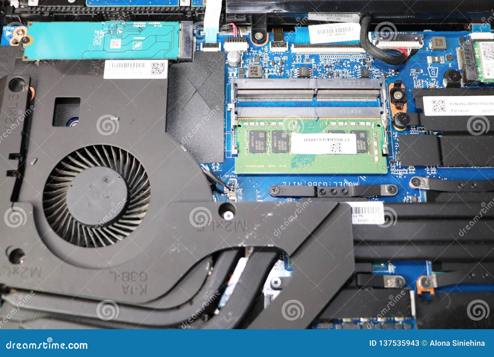 A Geek Cleans a Laptop Cooler. Contaminated Computer Cooling System ...